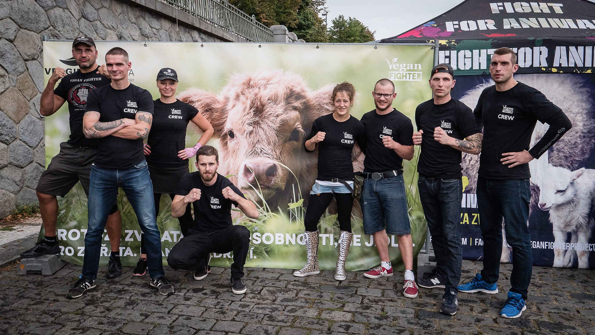 Webinare - veganfighter.eu